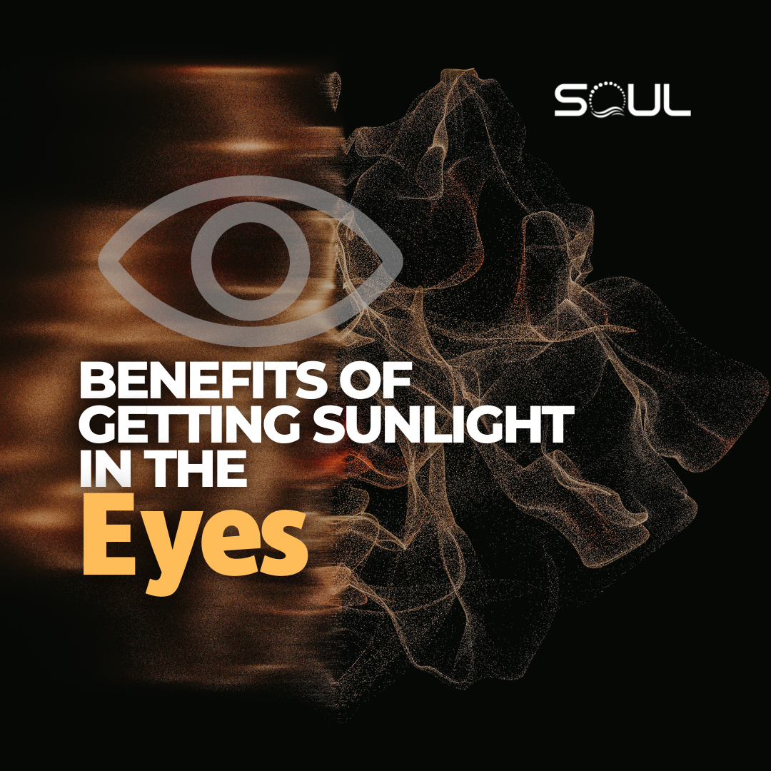 The Bright Side of Sunlight: Five Benefits of Sunlight Exposure for Yo ...